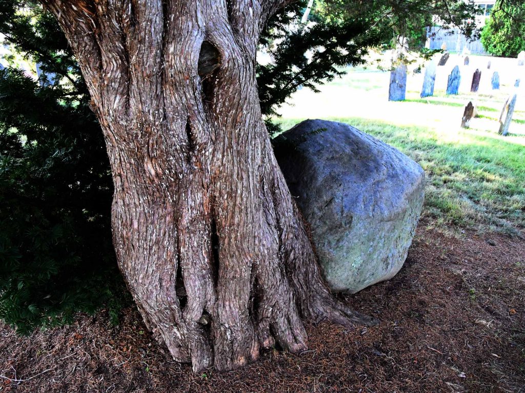 Tyler Point Cemetery – Sowams Heritage Area