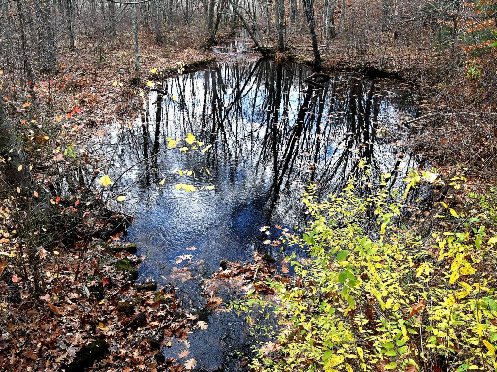 Caratunk Wildlife Refuge, where the rivers meet in Seekonk – Sowams ...