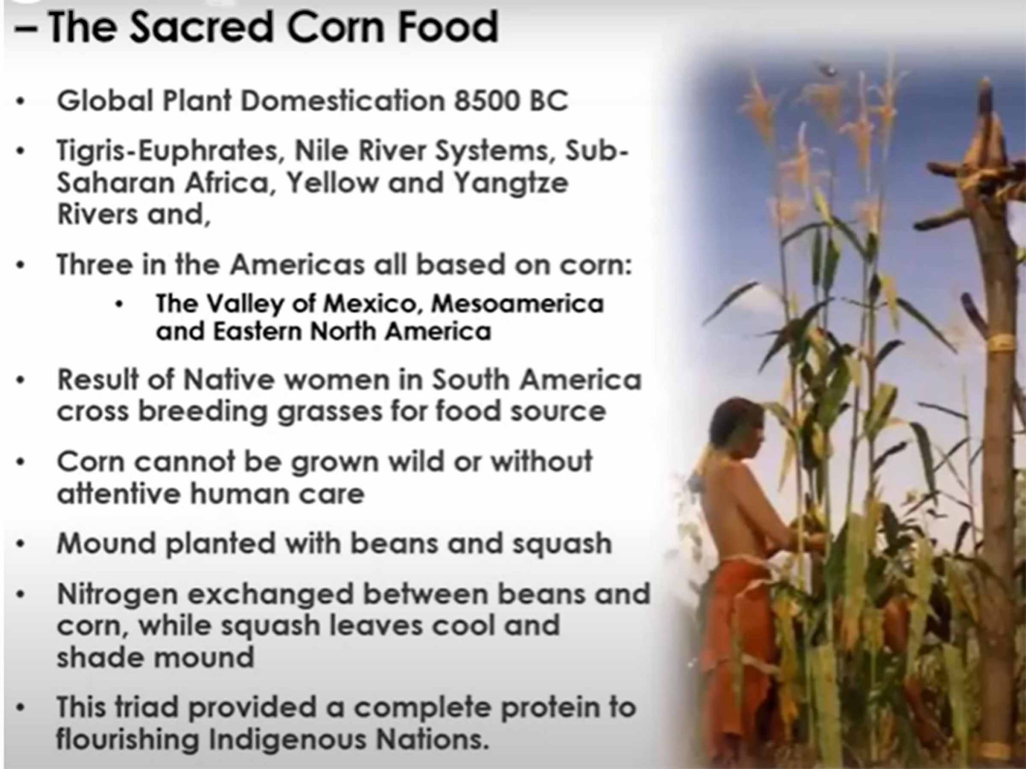 The Tribes and their relations with the Mass Bay Colony – Sowams ...