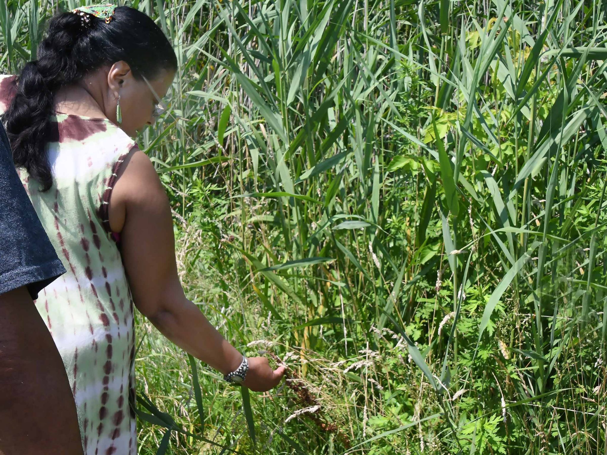 Walking the Pokanoket Shell Path at Roger Williams University – Sowams ...