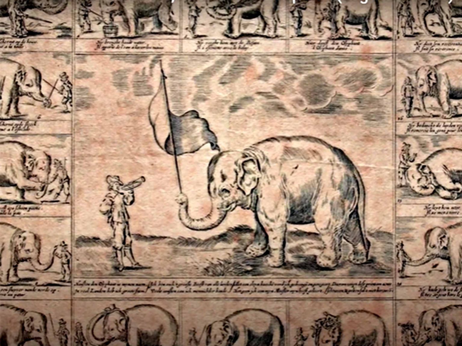 Hansken, Rembrandt’s Elephant – Sowams Heritage Area