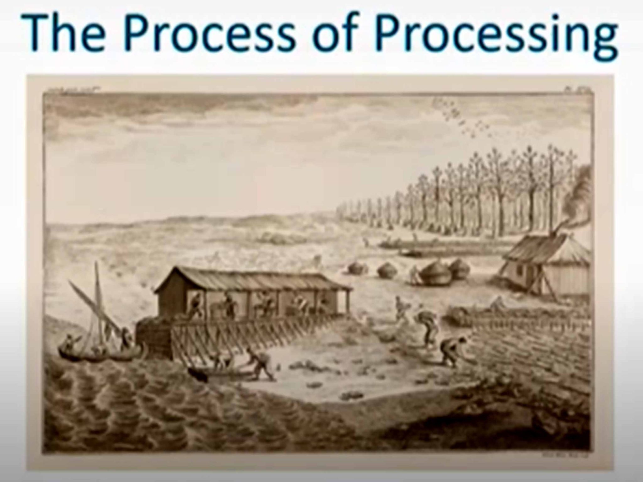Founding Fish: Maine’s 17th Century Cod Fishing Industry – Sowams ...
