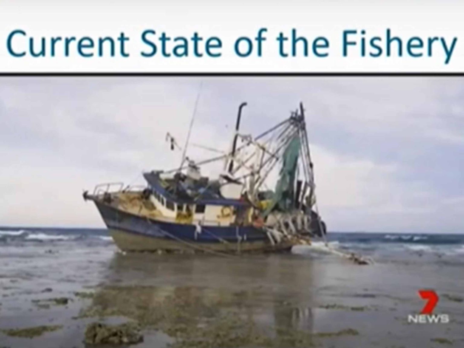 Founding Fish: Maine’s 17th Century Cod Fishing Industry – Sowams ...