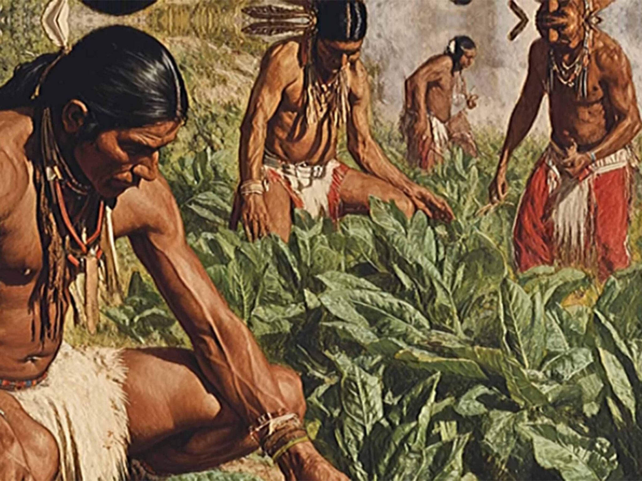 Tobacco’s Role In Shaping Colonial America’s Economy And Society ...