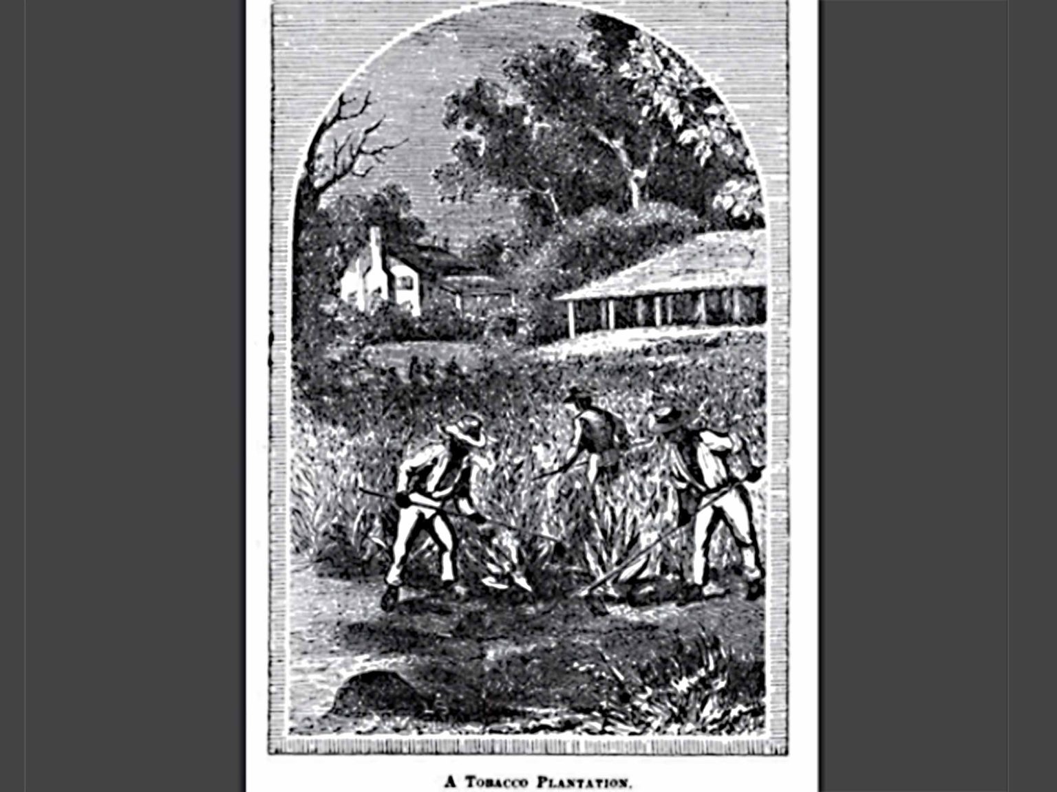 Surviving in Colonial America, and the Continuous Class War – Sowams ...