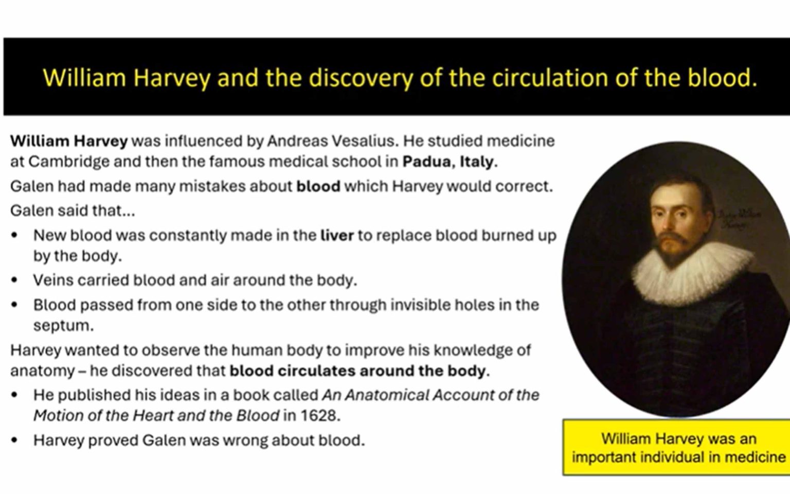 Renaissance Medicine 1500-1700 – Sowams Heritage Area