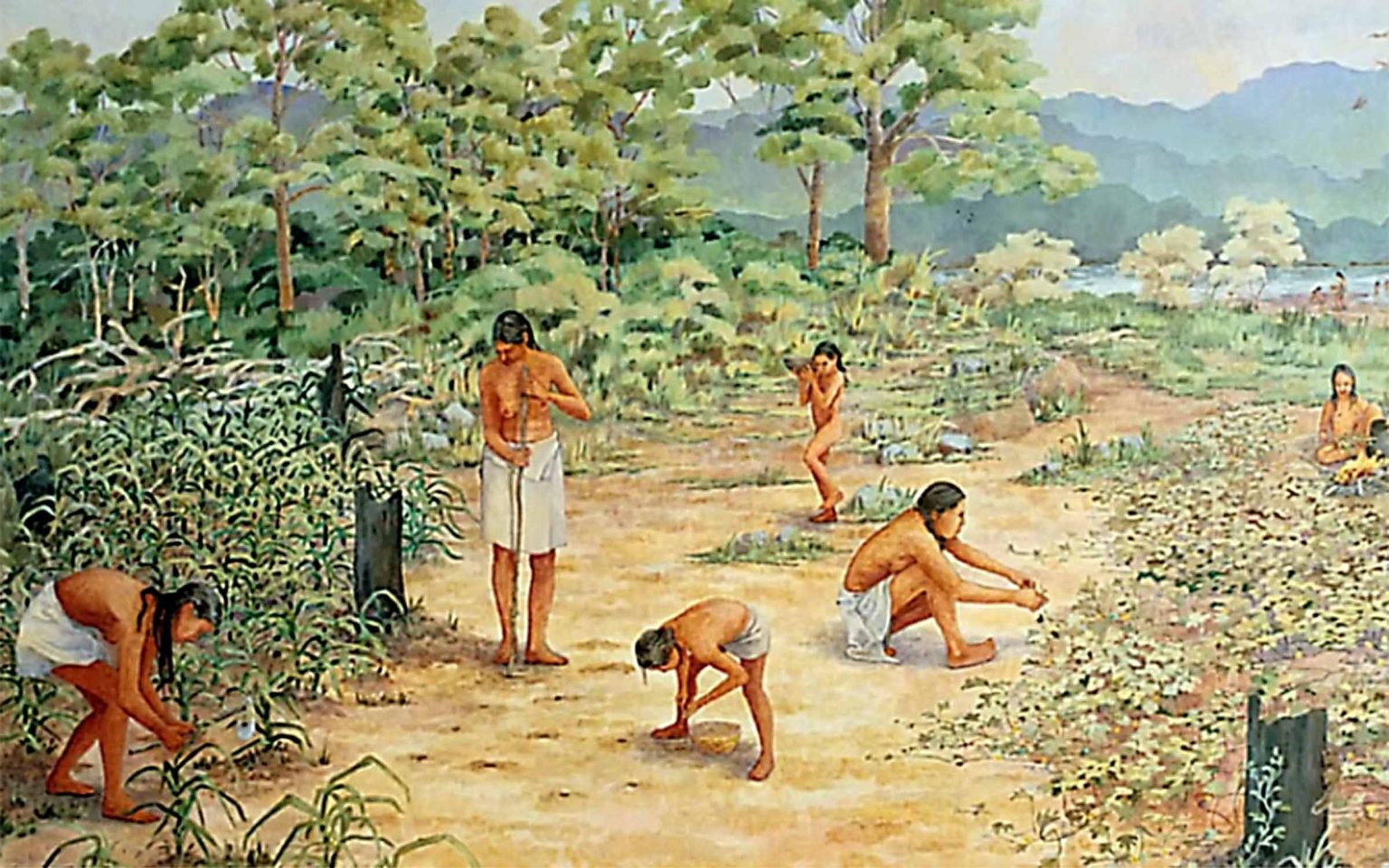 First Nations Tribes and Confederations of New England – Sowams ...