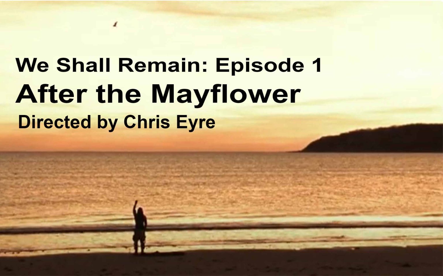 We Shall Remain Episode 1: After the Mayflower Directed by Chris Eyre ...