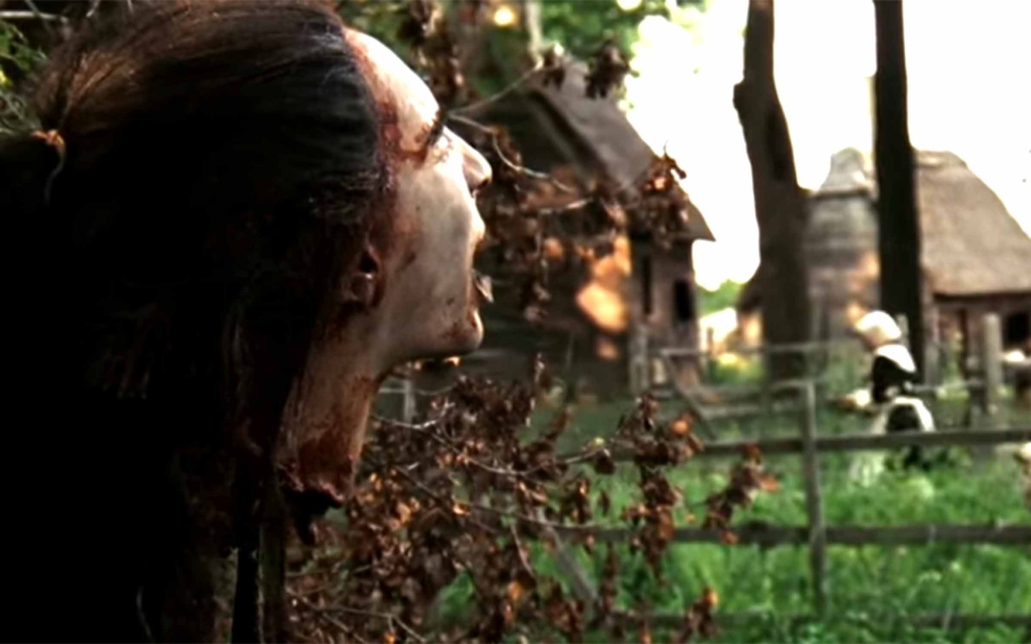 We Shall Remain Episode 1: After the Mayflower Directed by Chris Eyre ...